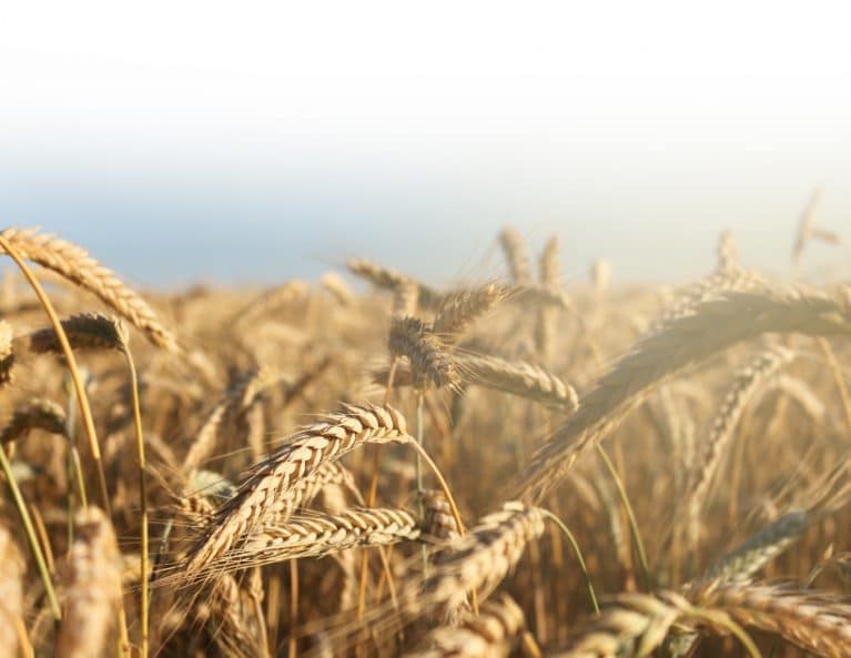 Farmax KRG deep spader » Farmax Spaders